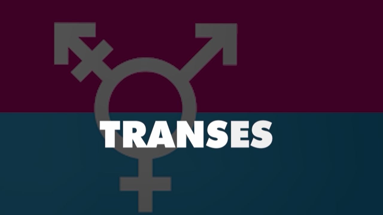 TRANSES - VERSION INTEGRALE ! - CrowdBunker
